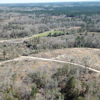 Hunting Land for Sale | Hunting Clubs for Lease in Alabama