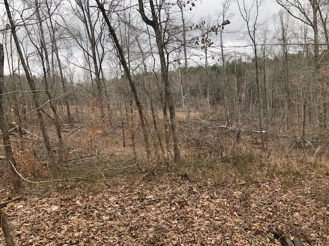 Invest In 300 Acres of Land for Sale in Hardeman County Tennessee near ...