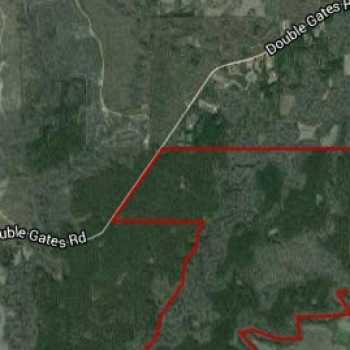 Hunting Land for Sale | Hunting Clubs for Lease in Alabama